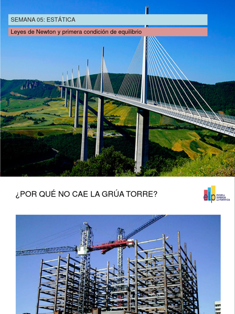 Estática: Leyes de Newton y Equilibrio | PDF | Fuerza | Masa