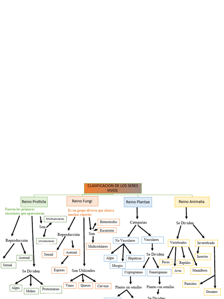 Mapa Conceptual 2 | PDF | Plantas | Biología