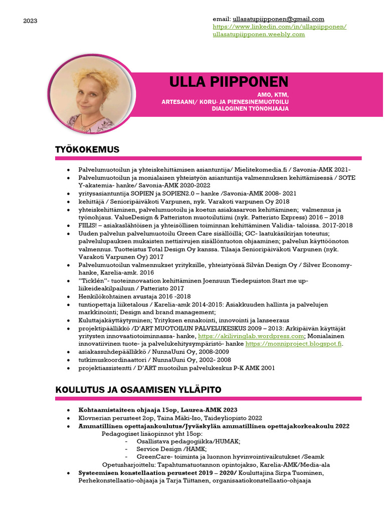 CV Ulla Piipponen Netti | PDF