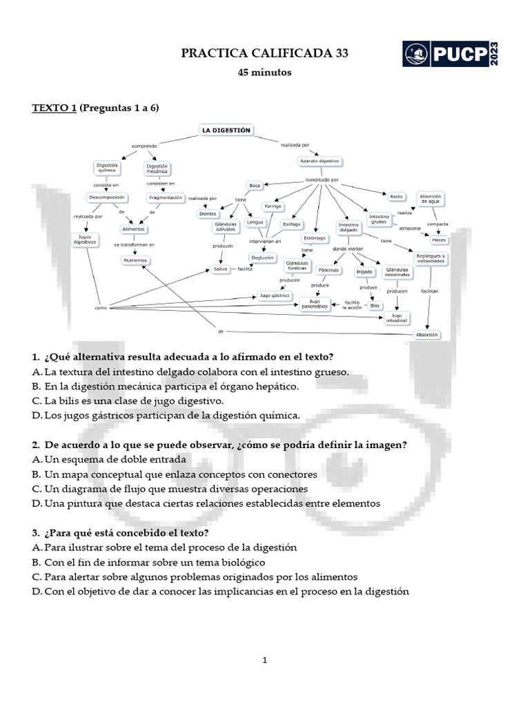 Practica Calificada 33 | PDF | Dialecto | Digestión
