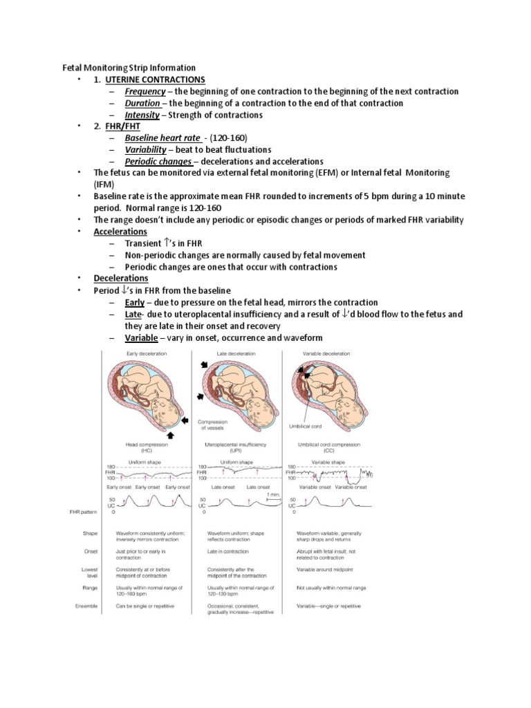 160 OB Fetal Monitoring Strip Information 4pgs | Obstetrics | Clinical ...
