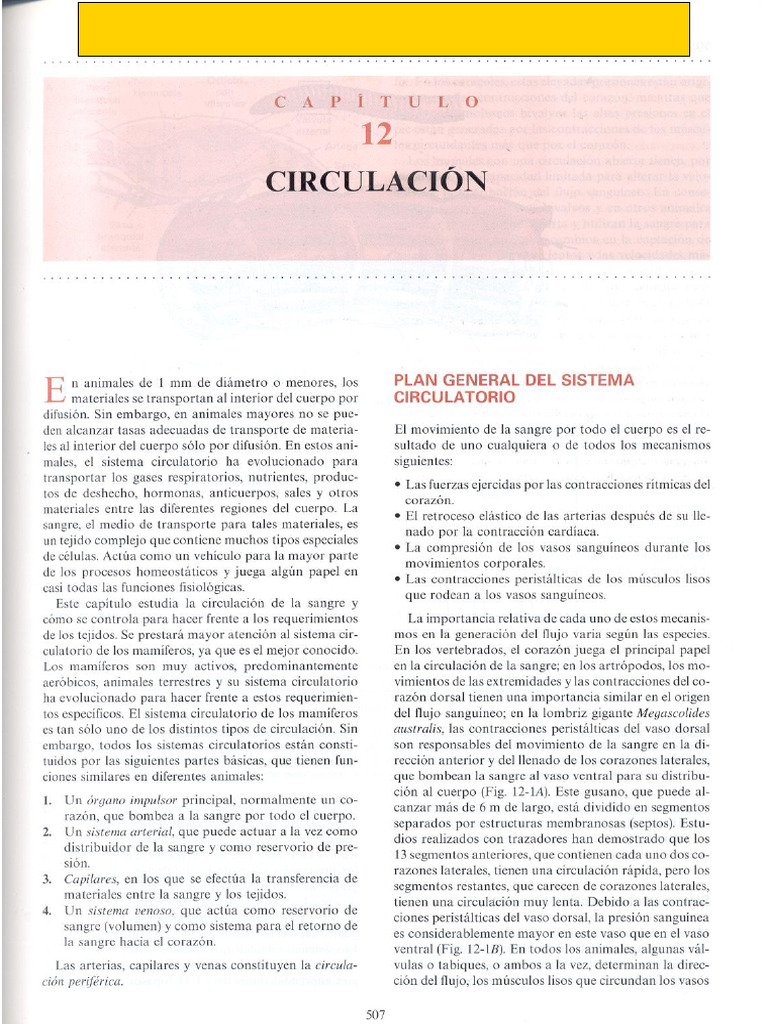 Material Lectura-Circulatorio Eckert | PDF | Sistema circulatorio | Corazón