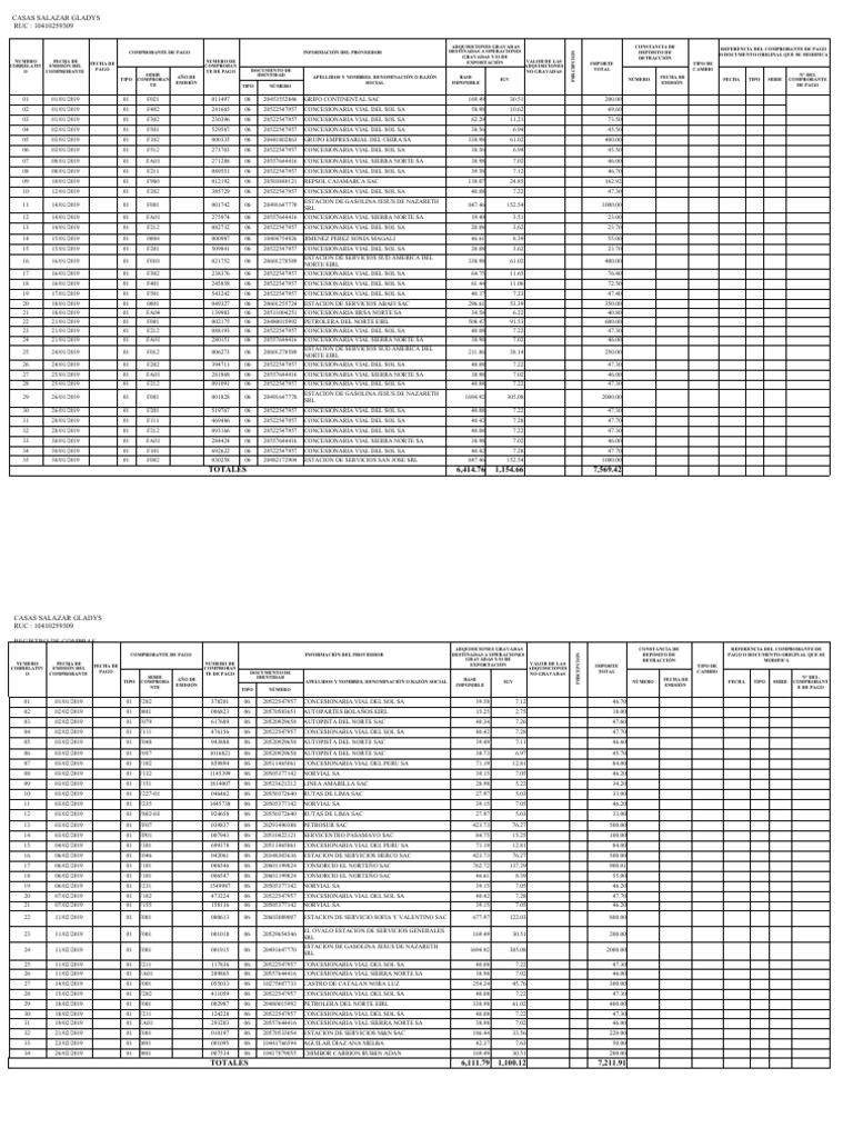 Registro Libro de Compras Camacho | PDF