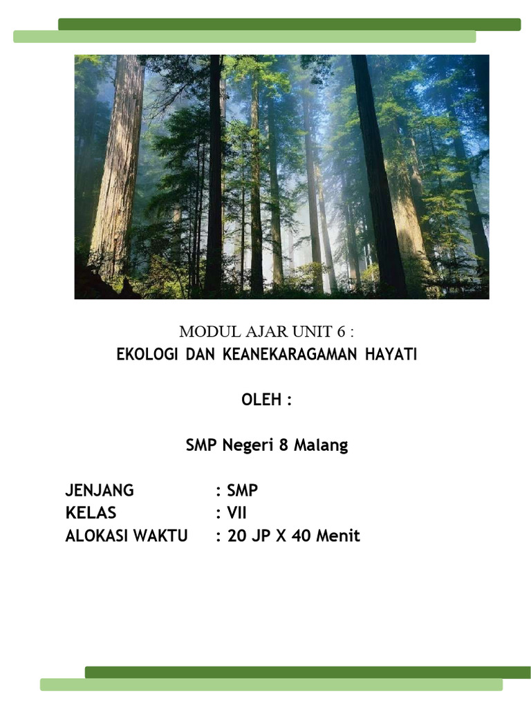 6 Modul 6 Ipa 7 2022-2023 | PDF