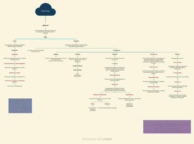 Mapa Conceptual Inmunología S Ammprimero Grupo 3 Pdf