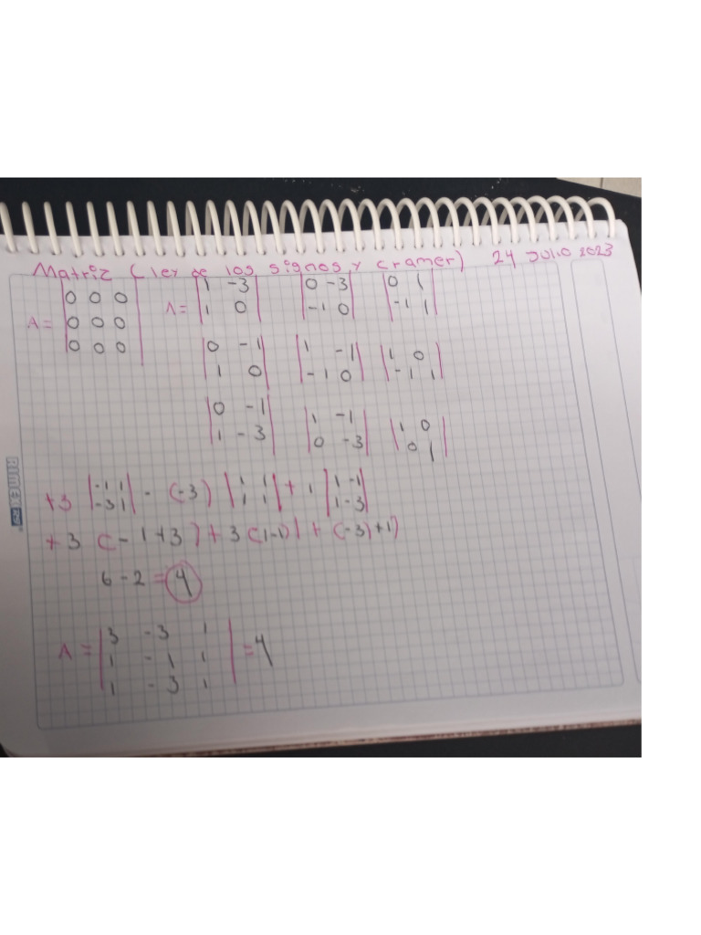 Matriz (Ley de Los Signos y Cramer) | PDF