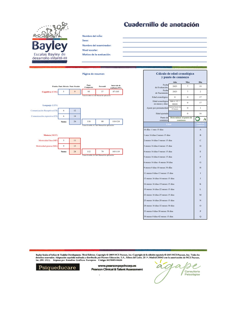 BAYLEY III Informe Ejemplo | PDF