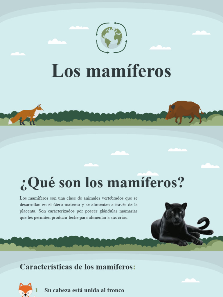 MAMIFEROS | PDF