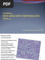 Posición de Roser o Proetz | Inflamación | Célula (Biología)