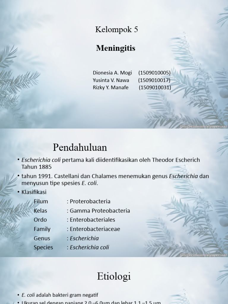 Meningitis Akibat E. Coli pada Bayi | PDF
