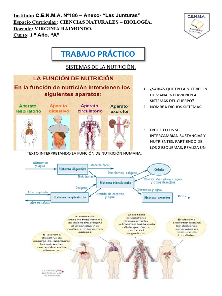 TP 6 Sistemas de La Nutrición | PDF
