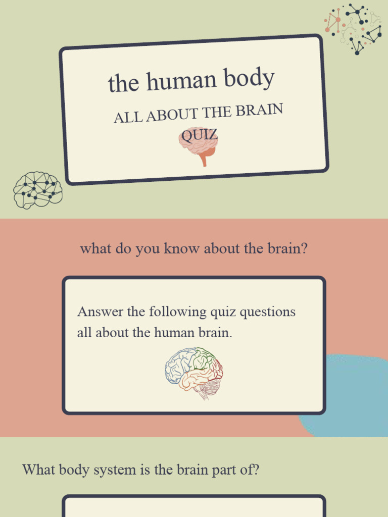 All About The Brain The Human Body Quiz | PDF | Brain | Human Brain