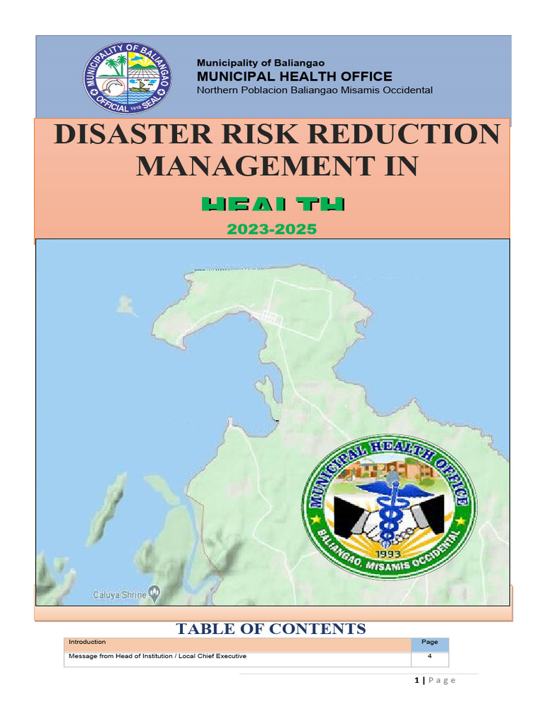 Baliangao DRRM-H 2023-2025 As of Oct 23, 2023 Updated | PDF | Emergency ...