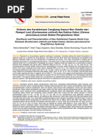 SIG Code Abbreviations | PDF | Pharmacology | Pharmacy