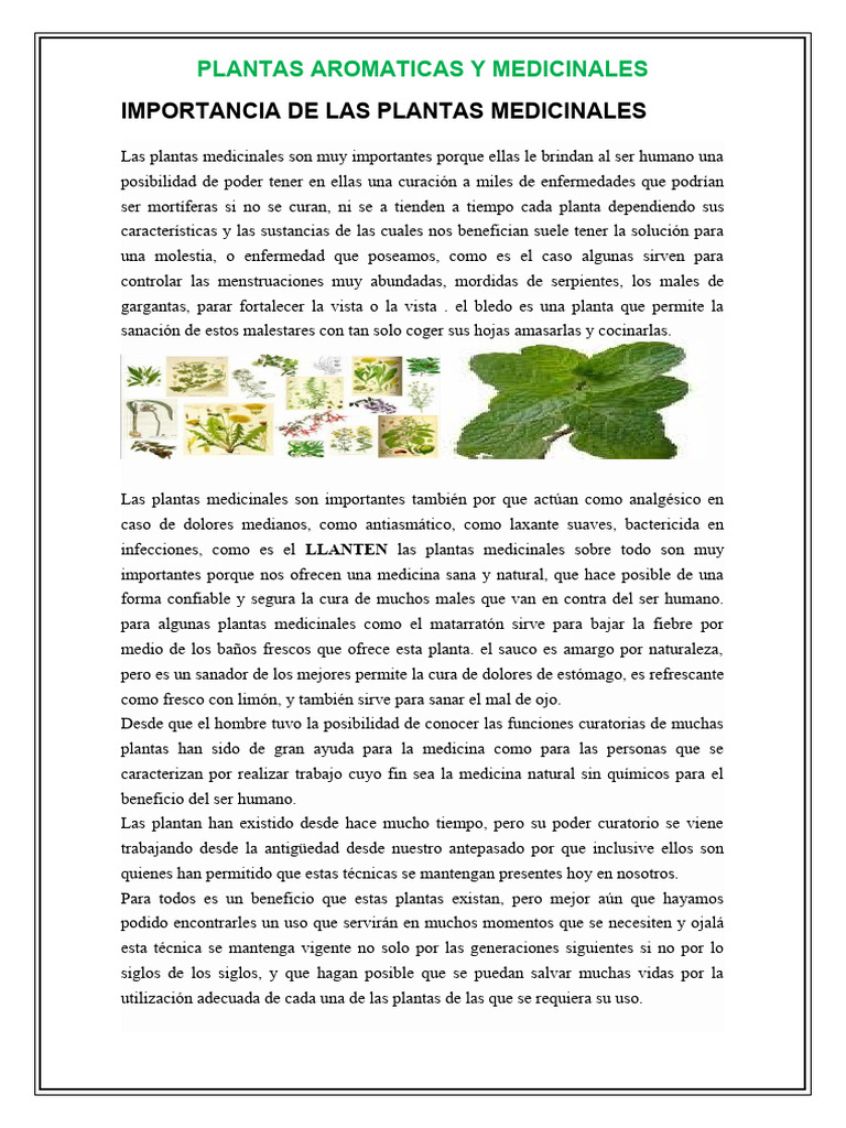 Importancia de Las Plantas Medicinales | PDF