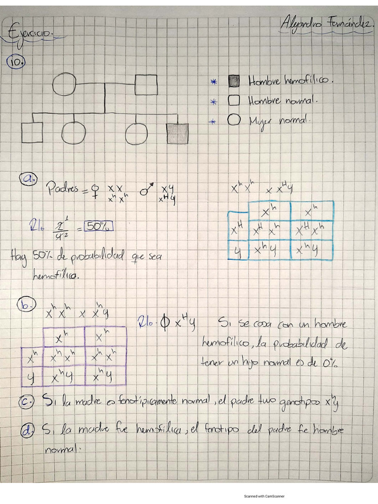 Ejercicio 10 Alejandro Fernandez | PDF