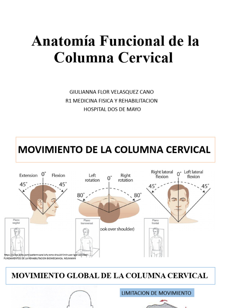 Anatomía Funcional de la Columna Cervical | PDF | La columna vertebral ...