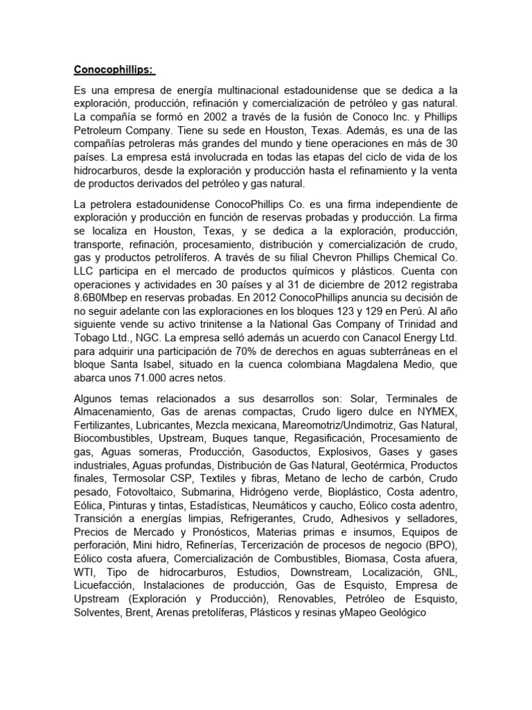 Info Marco Teorico PROYECTO WILLOW | PDF