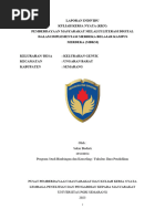 Format Dan Contoh Laporan Individu KKN 2023 | PDF