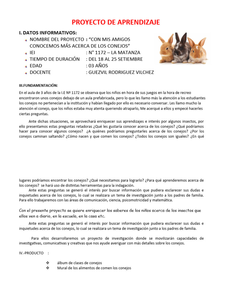 Proyecto de Aprendizaje Los Conejos | PDF