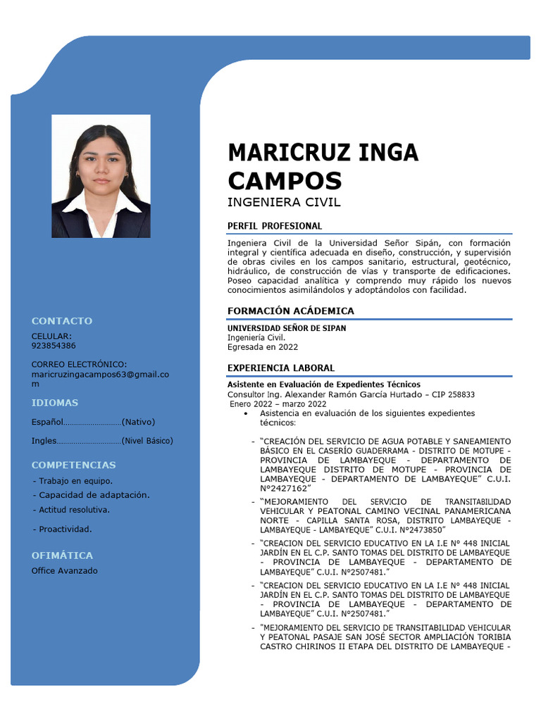 CV 2023 | PDF
