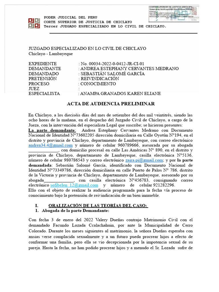 Acta de Audiencia Preliminar | PDF | Derecho