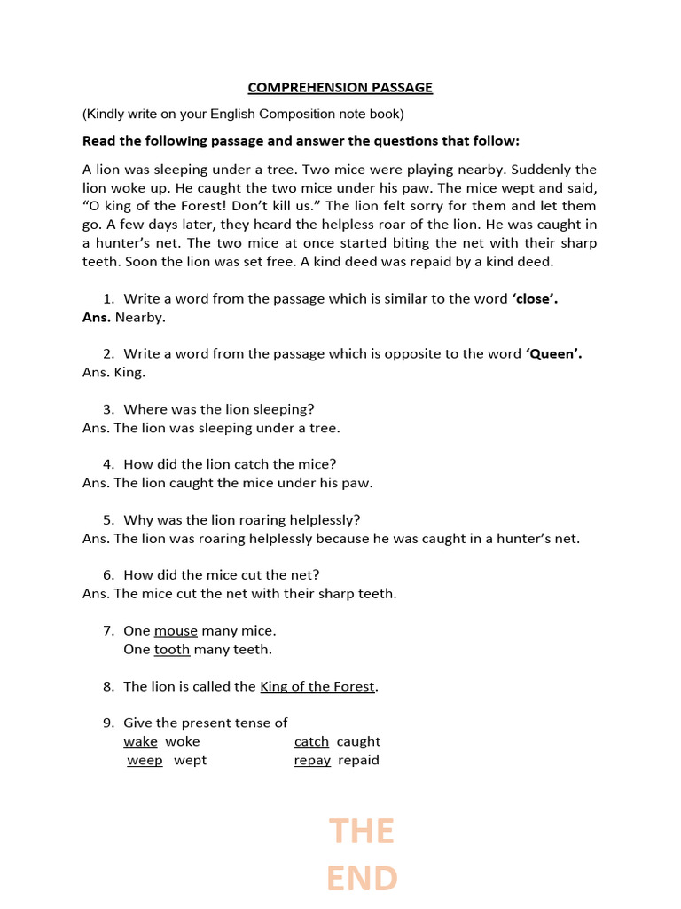 COMPREHENSION PASSAGE - Class 6 | PDF