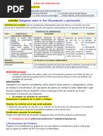 Collage de Tradiciones Peruanas | PDF | Evaluación | Aprendizaje