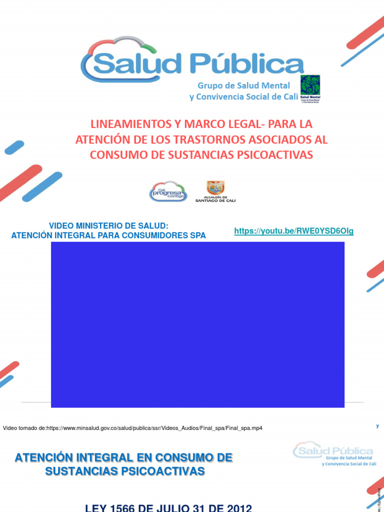 Lineamiento y Marco Legal SPA 14 Marzo | PDF