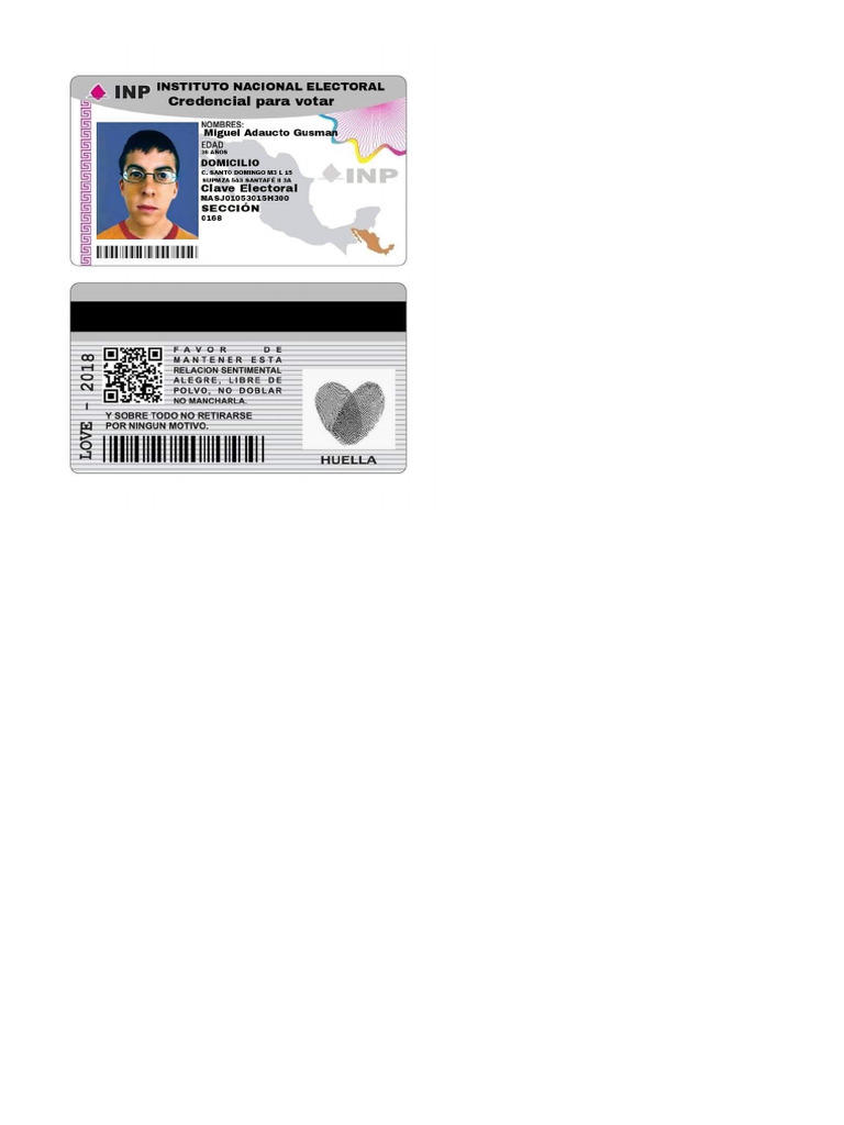 Ine Patron Falsa | PDF