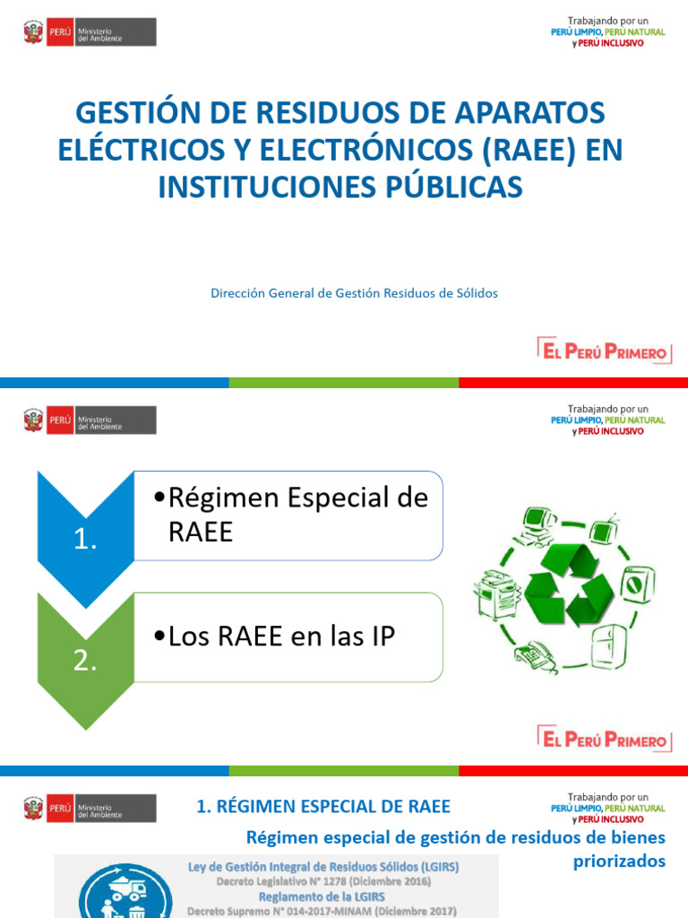 Gestion RAEE Intituciones Publicas | PDF