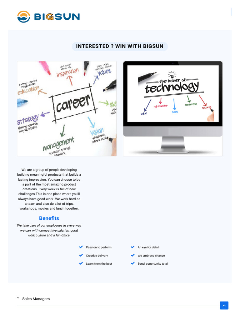 Software Careers | PDF