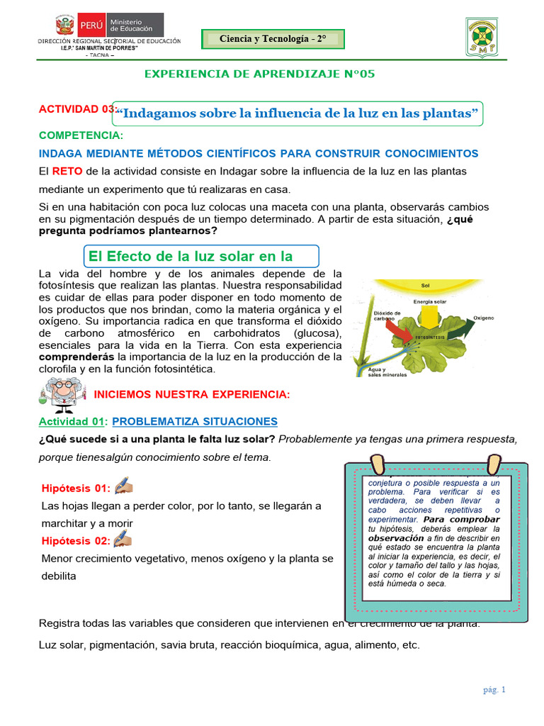 cyt | PDF | Hipótesis | Experimentar