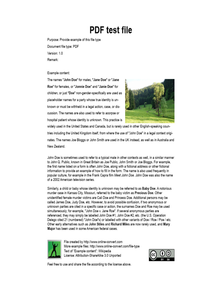 Example | PDF | John Doe