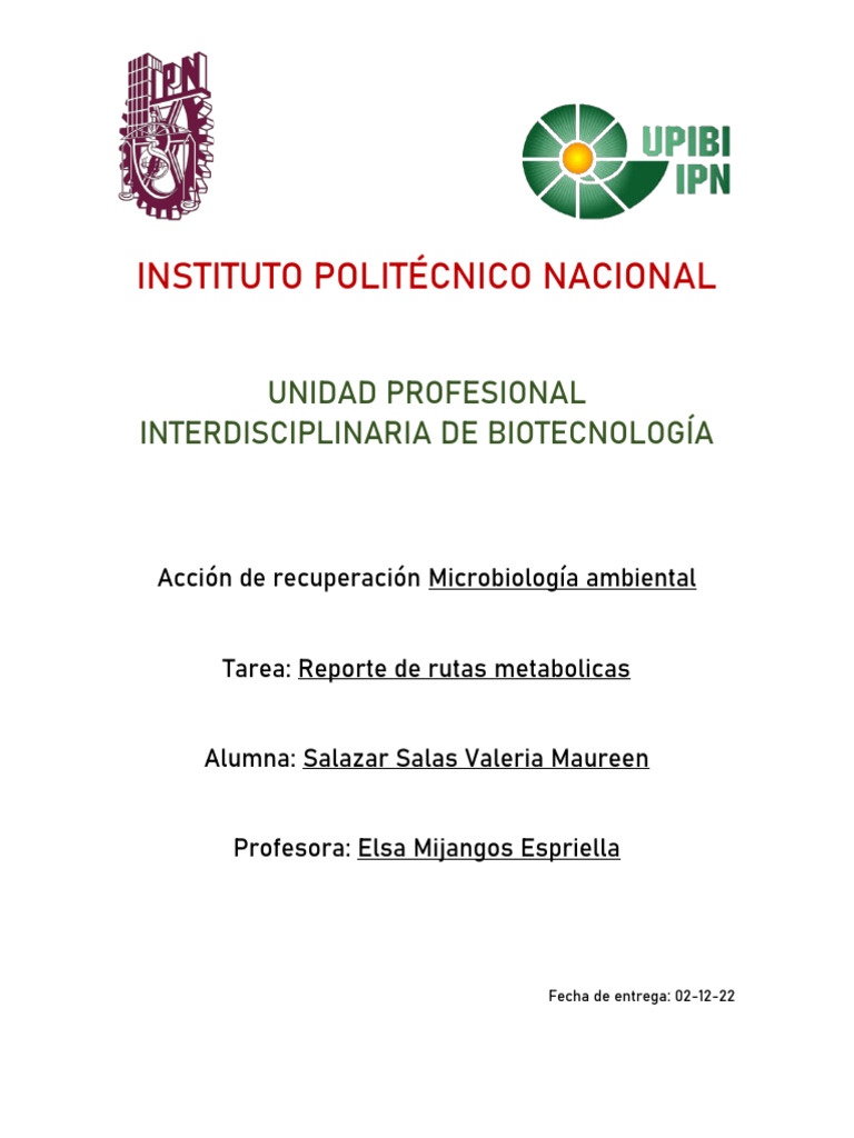 Pract. 5, Rutas Metabolicas | PDF