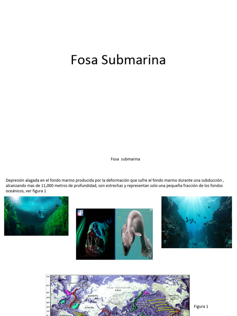 Fosa Submarina | PDF