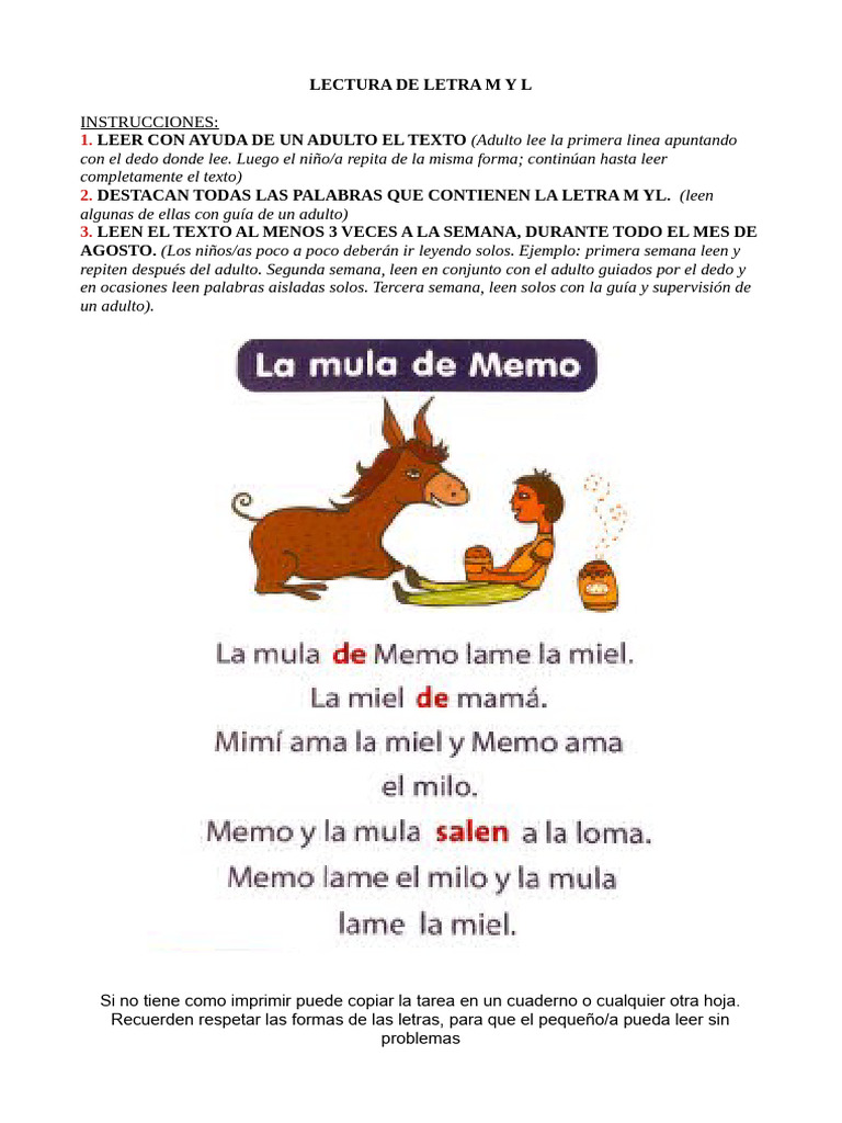 Lectura M Y L Pdf