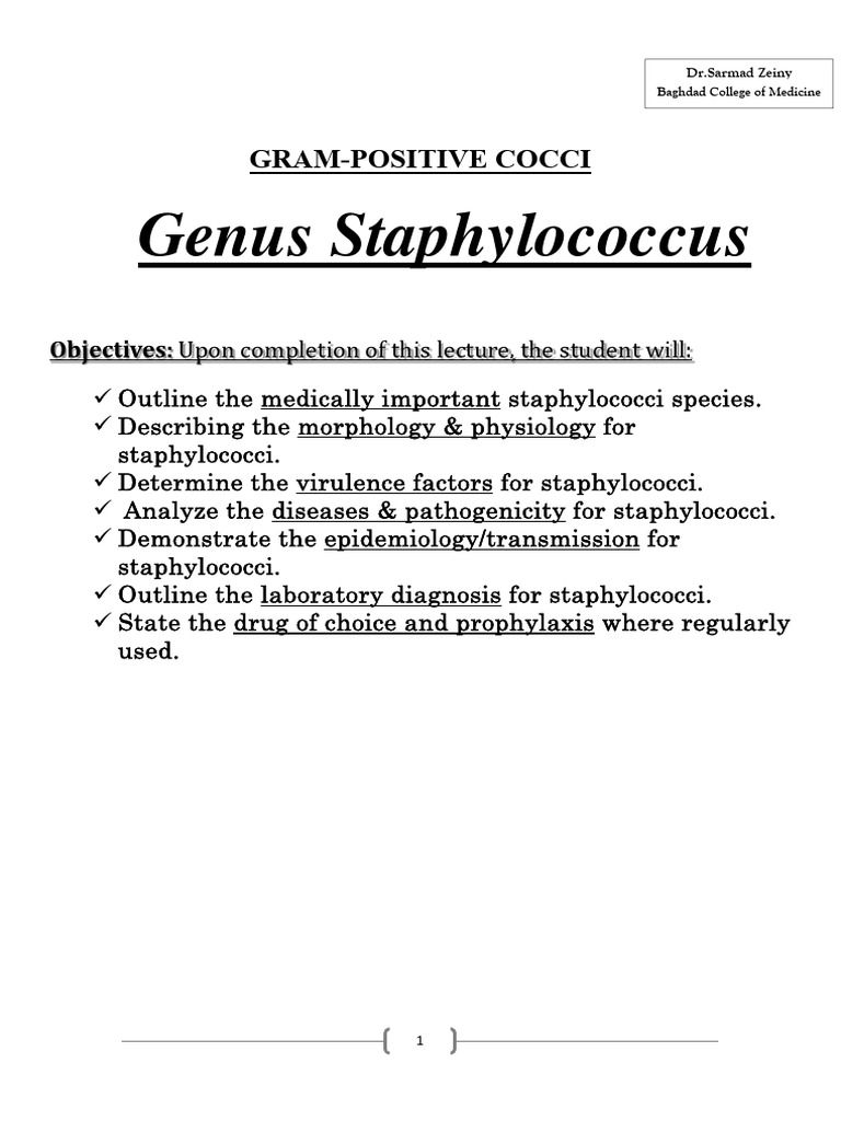 Pyogenic Cocci - Staphylococcus LGT6 - DR - Sarmad | PDF | Science ...