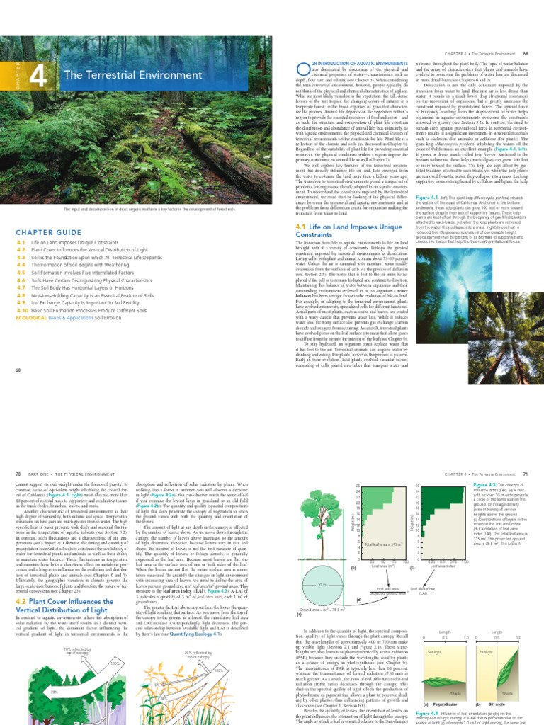 CHAPTER 4 The Terrestrial Environment | PDF | Leaf | Soil