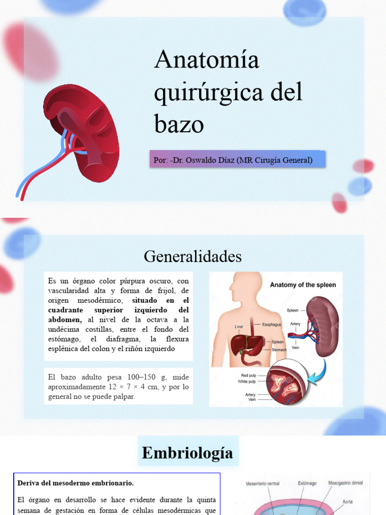 Diaz Anatomia Quirurgica Del Bazo | PDF