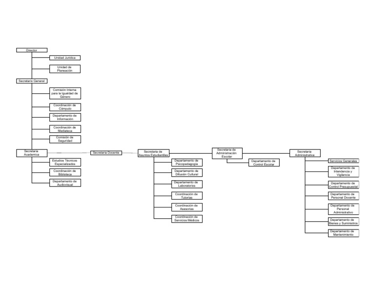 Organigrama CCH | PDF
