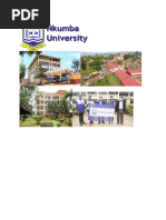 Nuclear Processes Kisjo | PDF