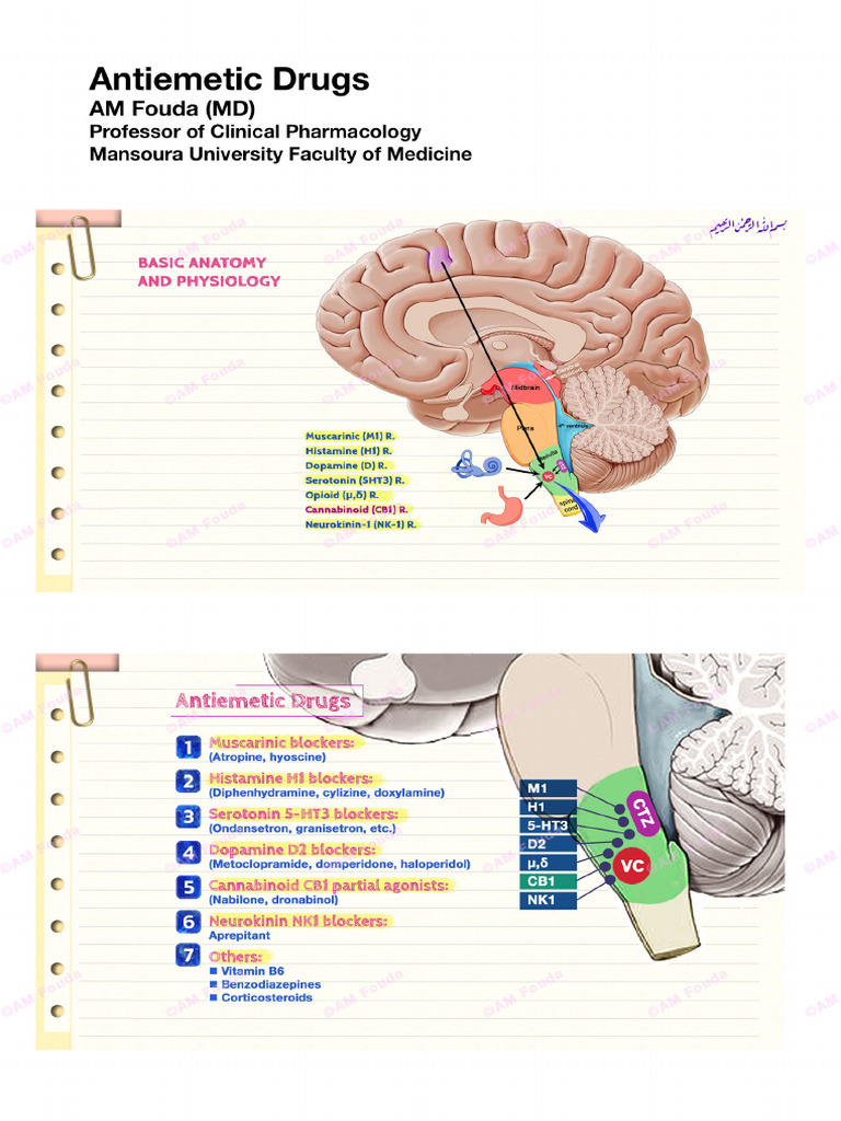 Antiemetic Drugs | PDF