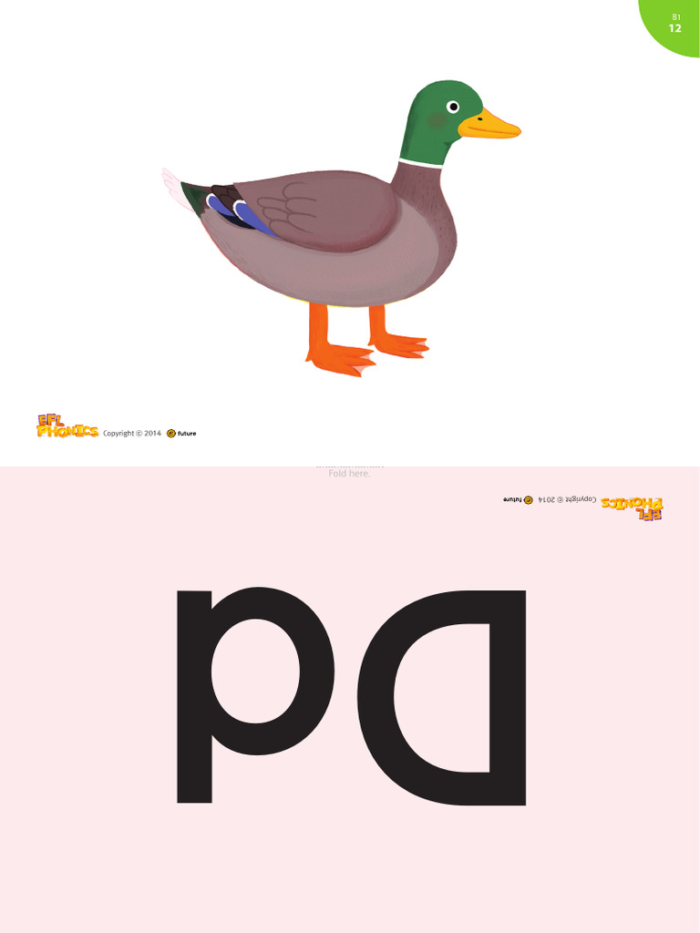 Teacher Flashcards Book 1 E F Pdf