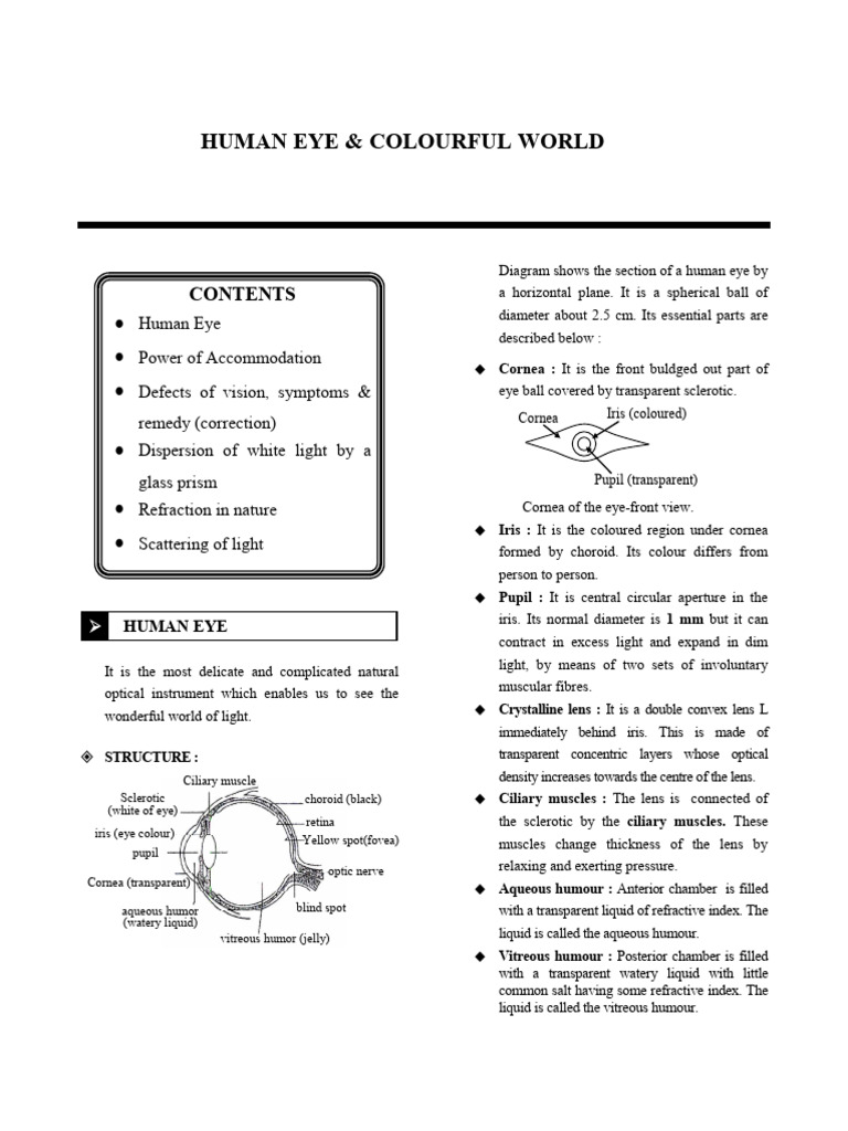 Eye and Colourful World | PDF | Sunset | Eye