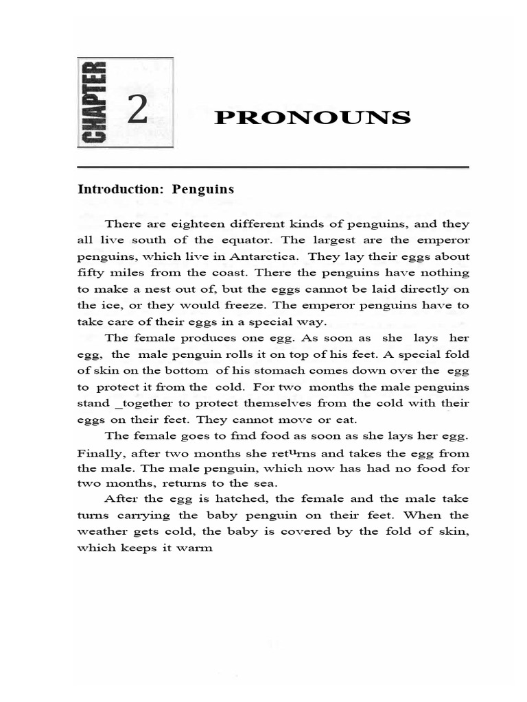 Chapter 2 Pronoun | PDF