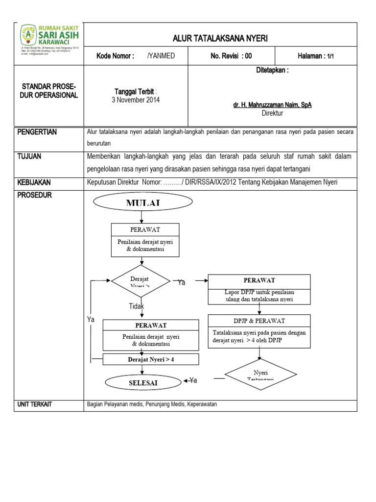 SPO Alur Tatalaksana Nyeri | PDF