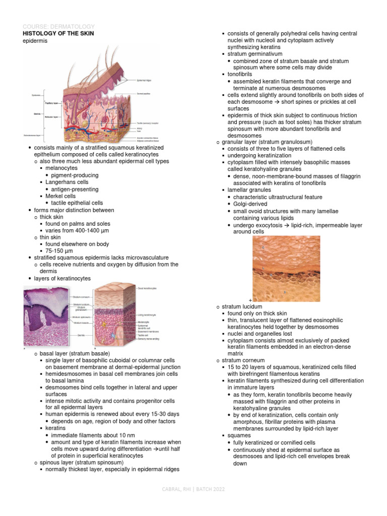 Superficial Bacterial Infections in Dermatology | PDF