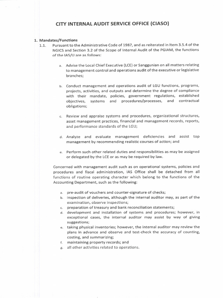 City Internal Audit Service Office (Ciaso) | PDF