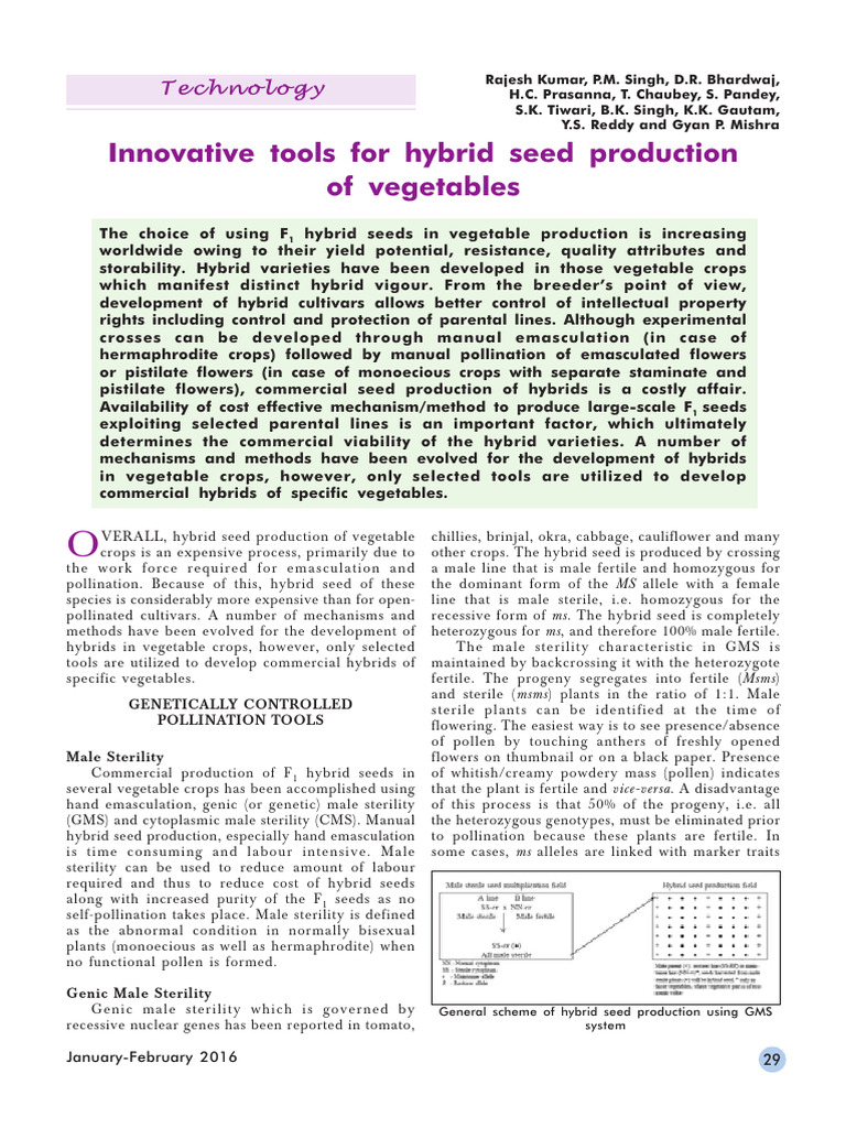 Hybrid Seed Production Techniques | PDF | Hybrid (Biology) | Genetics